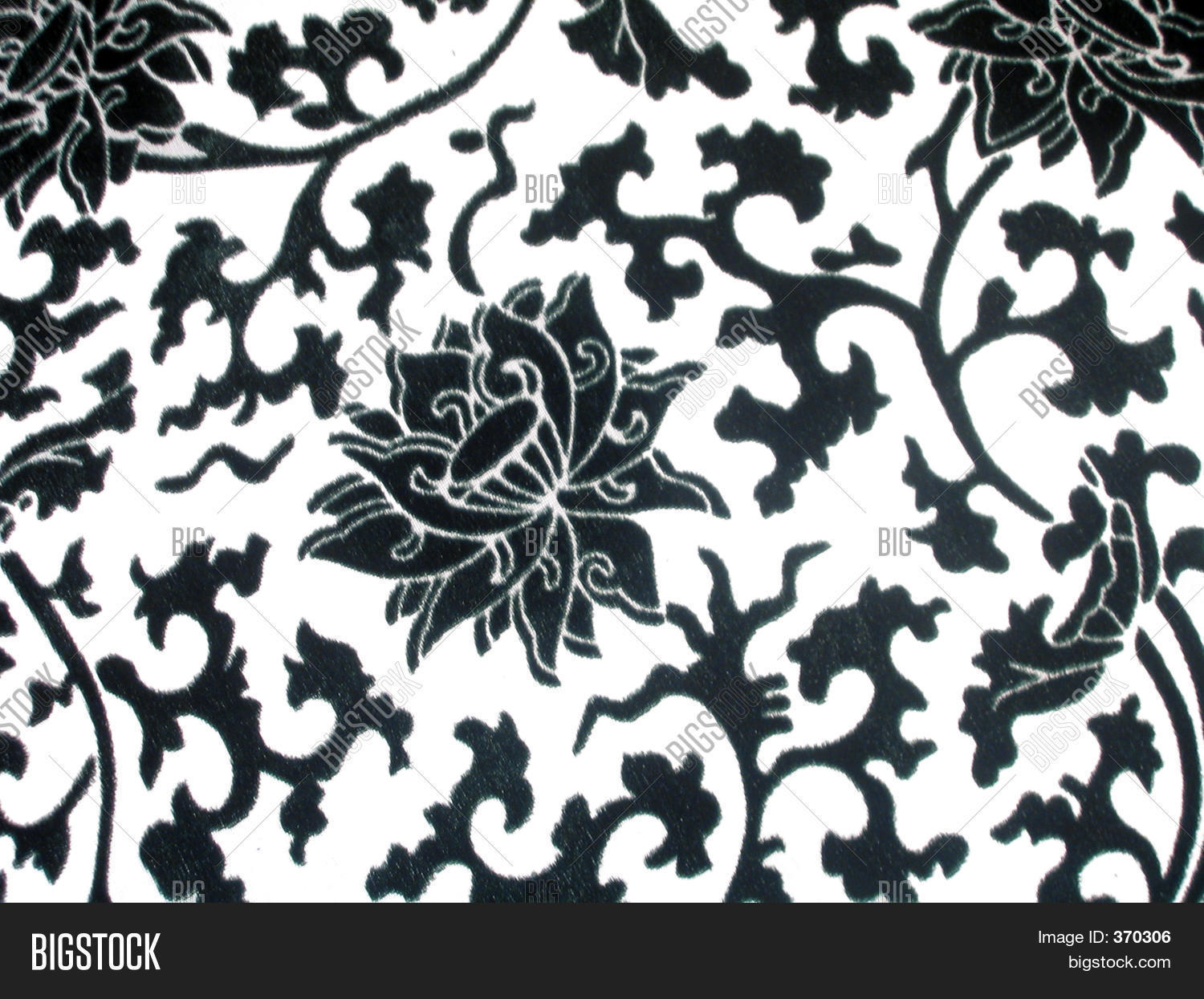 Flower Vine Pattern Image & Photo (Free Trial) | Bigstock