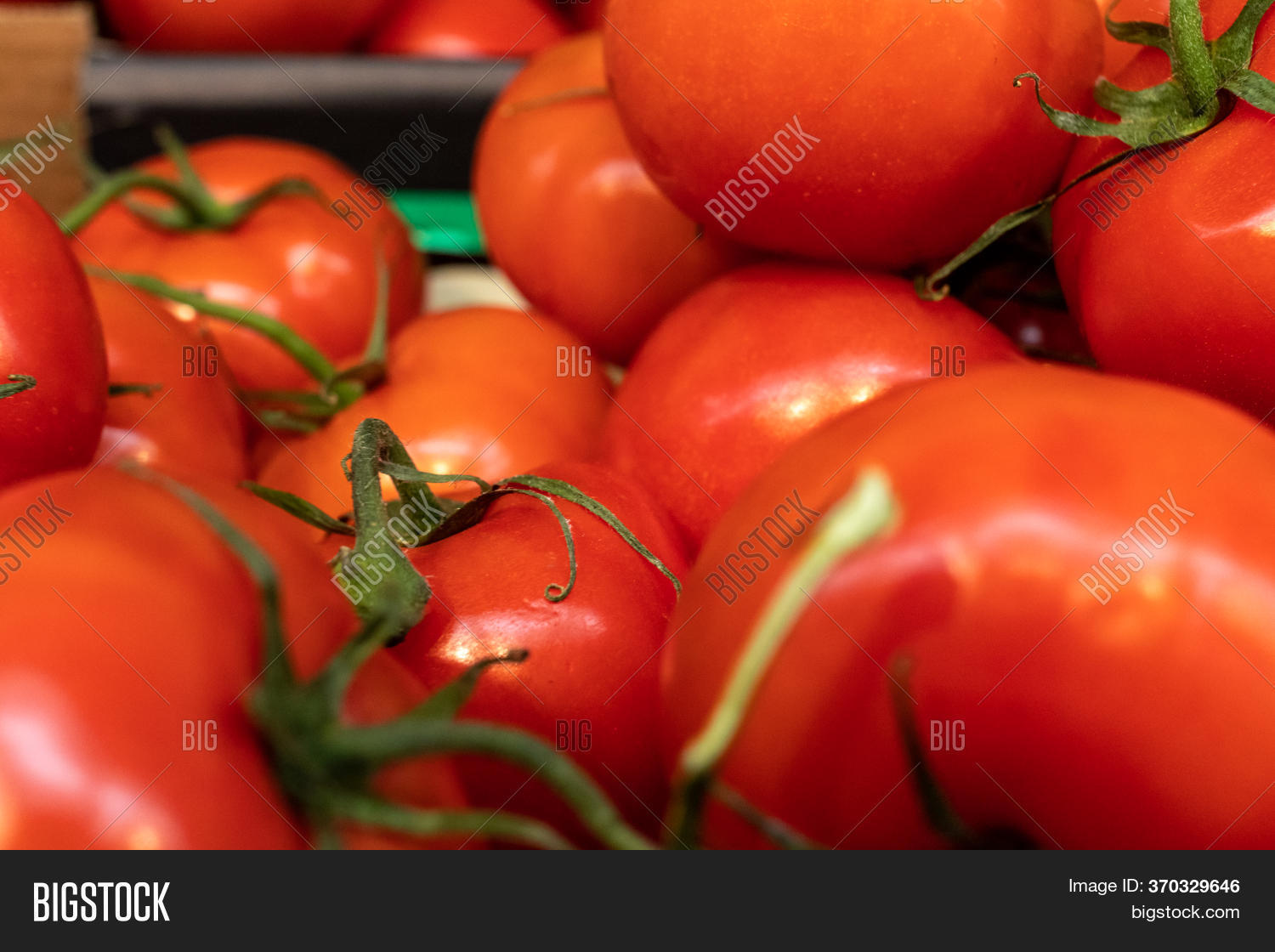 Ripe Juicy Tomatoes Image & Photo (Free Trial) | Bigstock