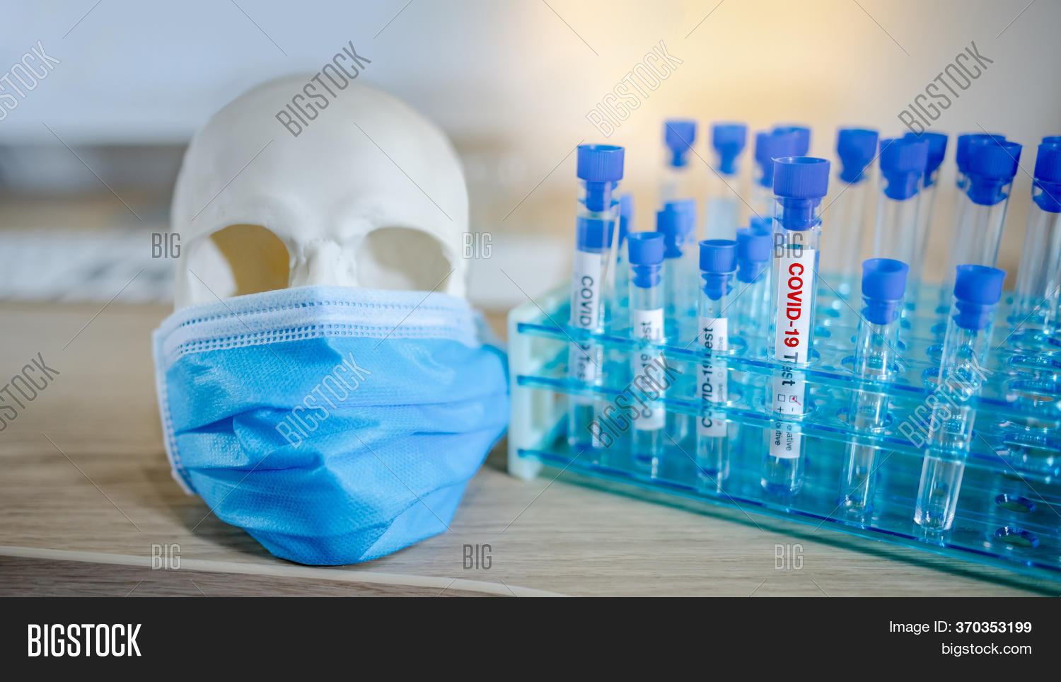 Human Skull Cranium Image & Photo (Free Trial) | Bigstock