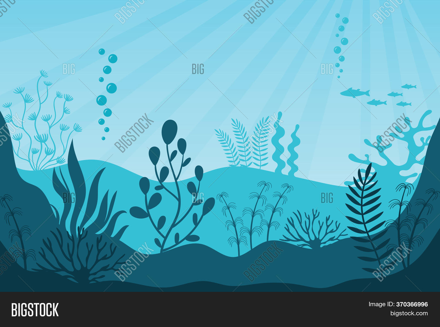 Marine Life. Beautiful Image & Photo (Free Trial) | Bigstock