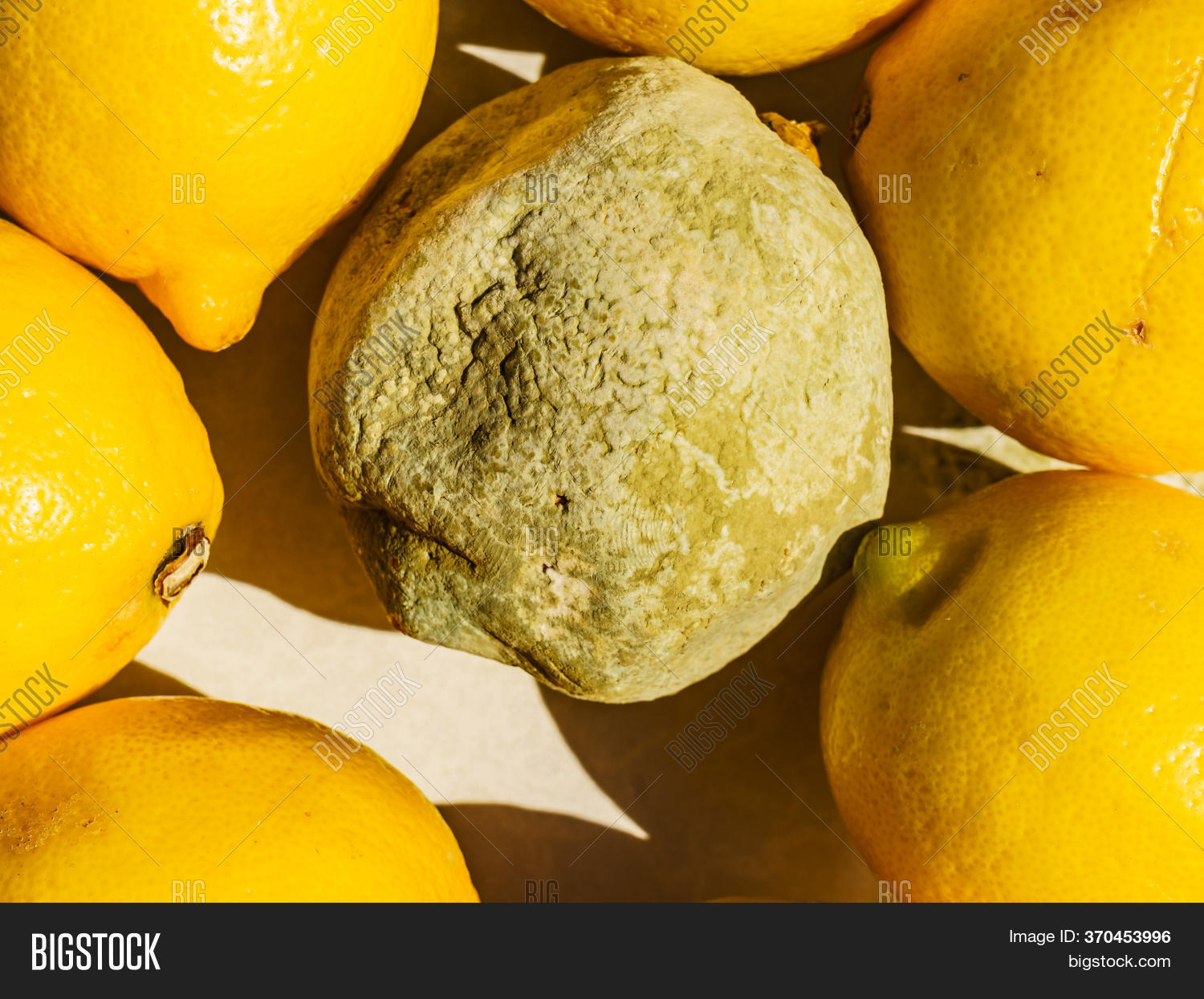 Healthy Green Moldy Image & Photo (Free Trial) | Bigstock