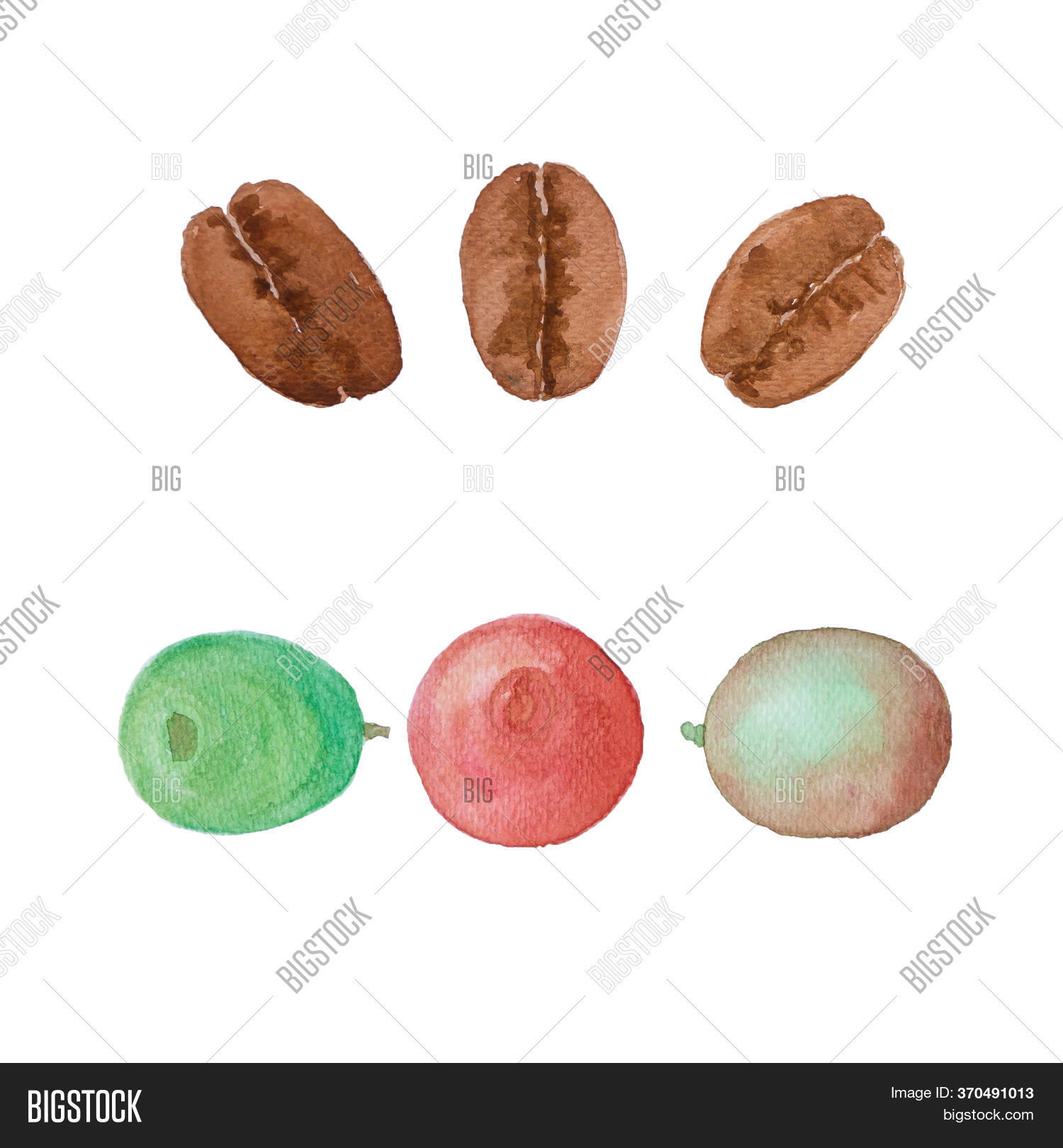 Brown Coffee Bean Image & Photo (Free Trial) | Bigstock