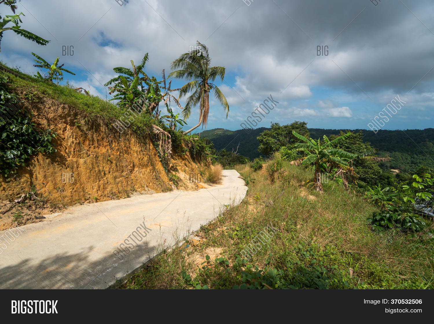 Dirt Road Among Jungle Image & Photo (Free Trial) | Bigstock