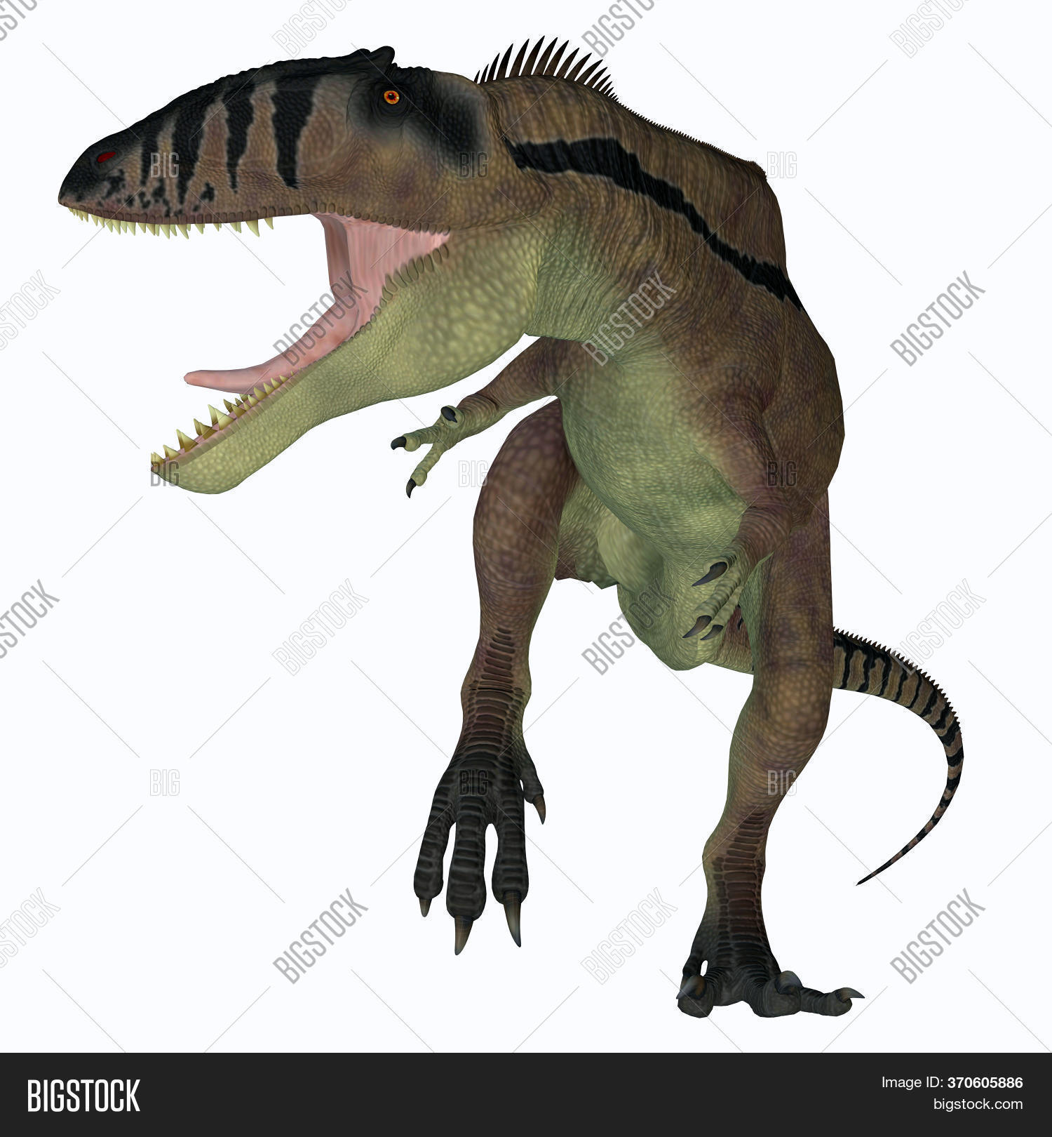 Carcharodontosaurus Image & Photo (Free Trial) | Bigstock