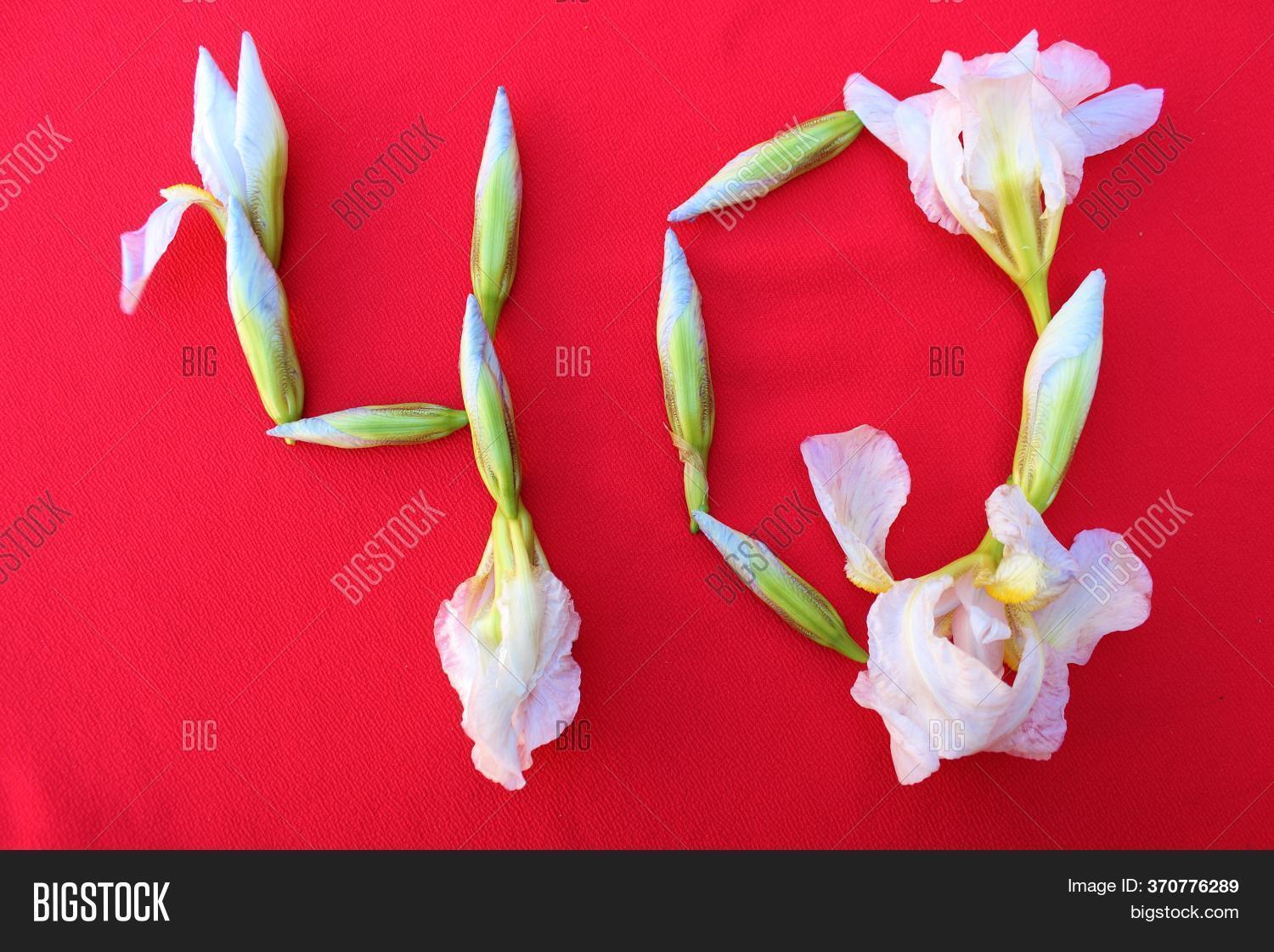 Number 40 Written By Image & Photo (Free Trial) | Bigstock