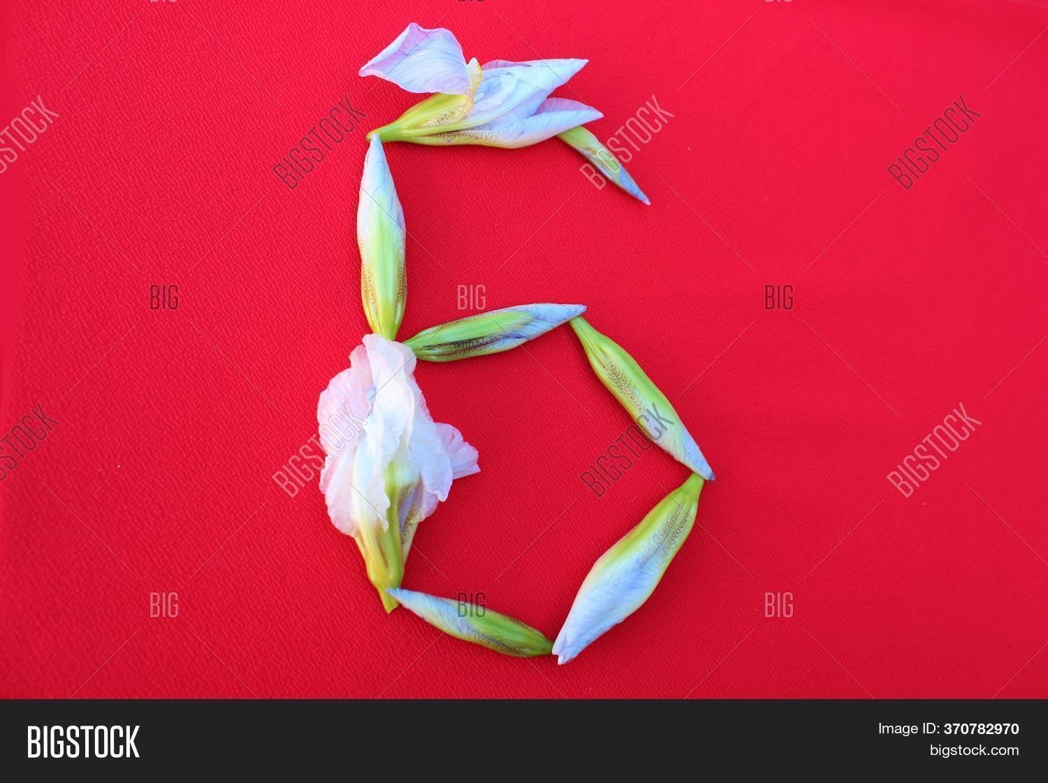 Number 6 Written By Image & Photo (Free Trial) | Bigstock