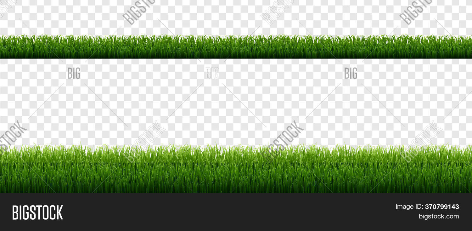 Green Grass Border Image & Photo (Free Trial) | Bigstock