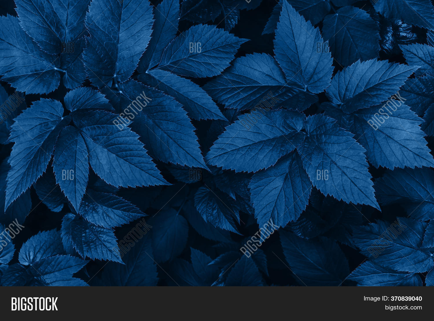 Perfect Natural Fresh Image & Photo (Free Trial) | Bigstock
