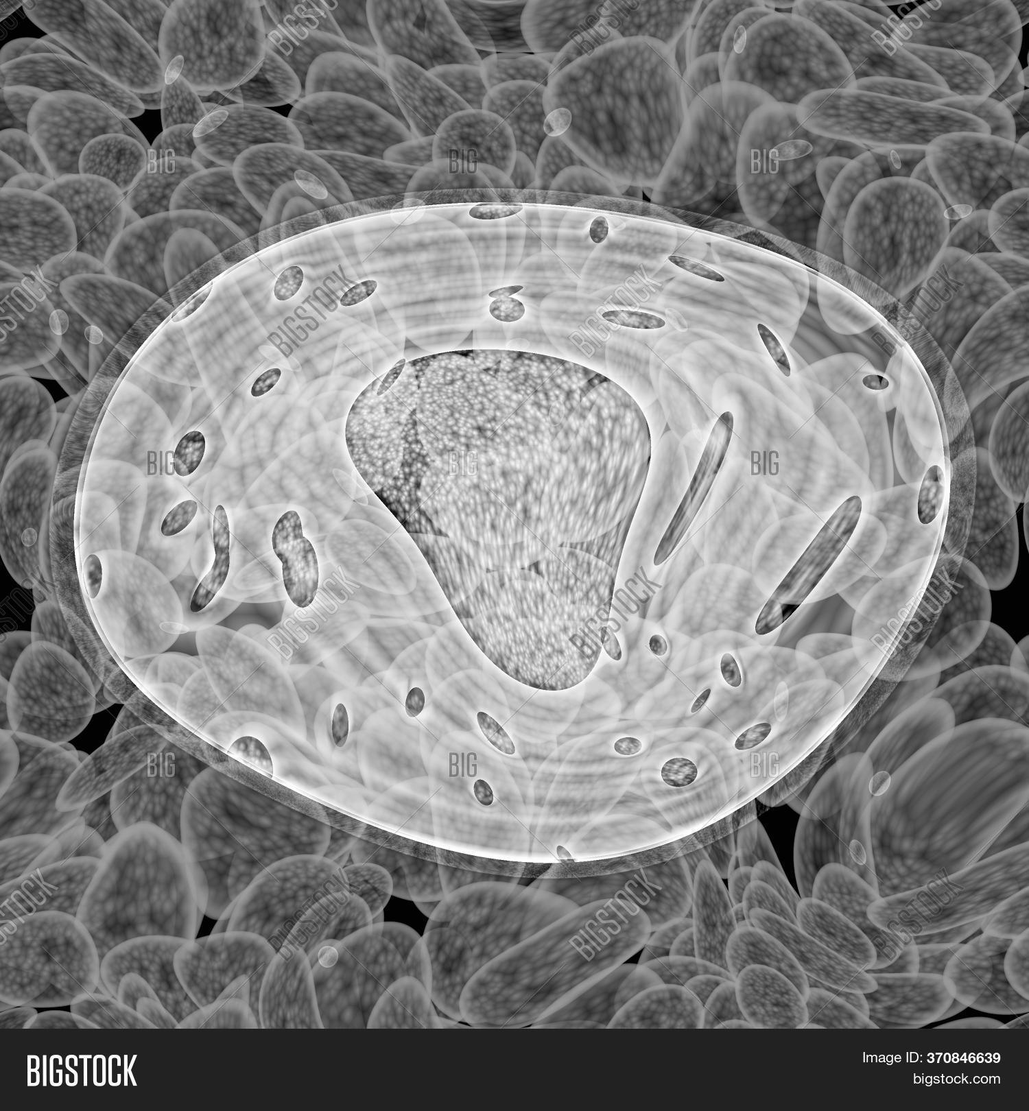 Colonies Bacteria Image & Photo (Free Trial) | Bigstock