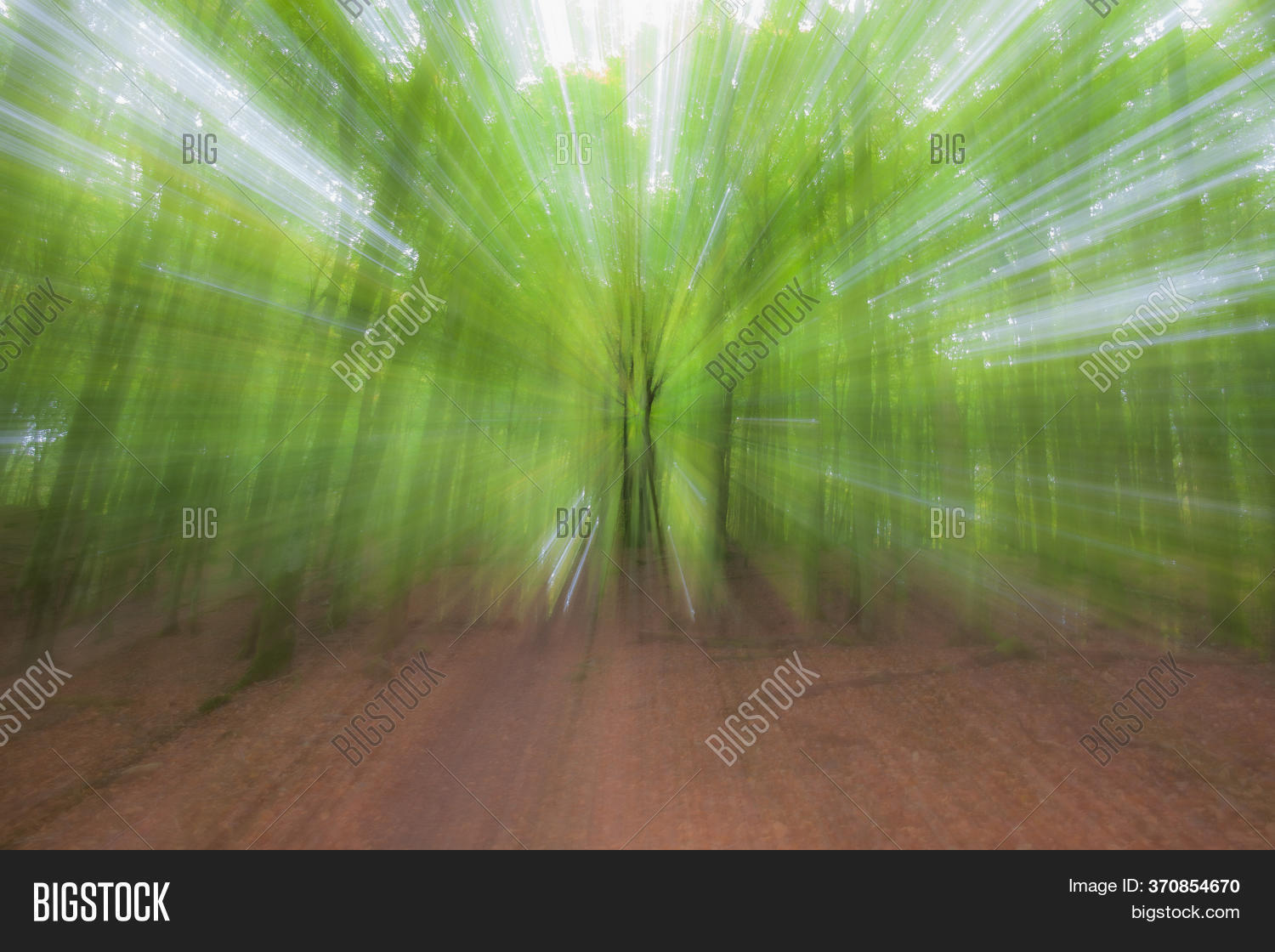 Abstract Photo, Forest Image & Photo (Free Trial) | Bigstock