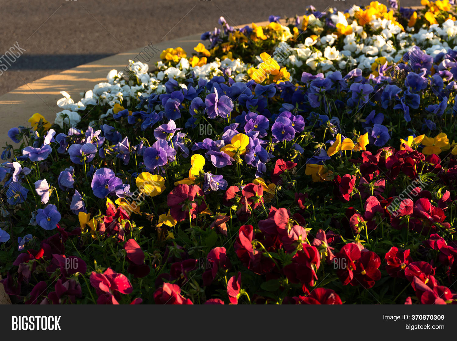 Beautiful Meadow Image & Photo (Free Trial) | Bigstock