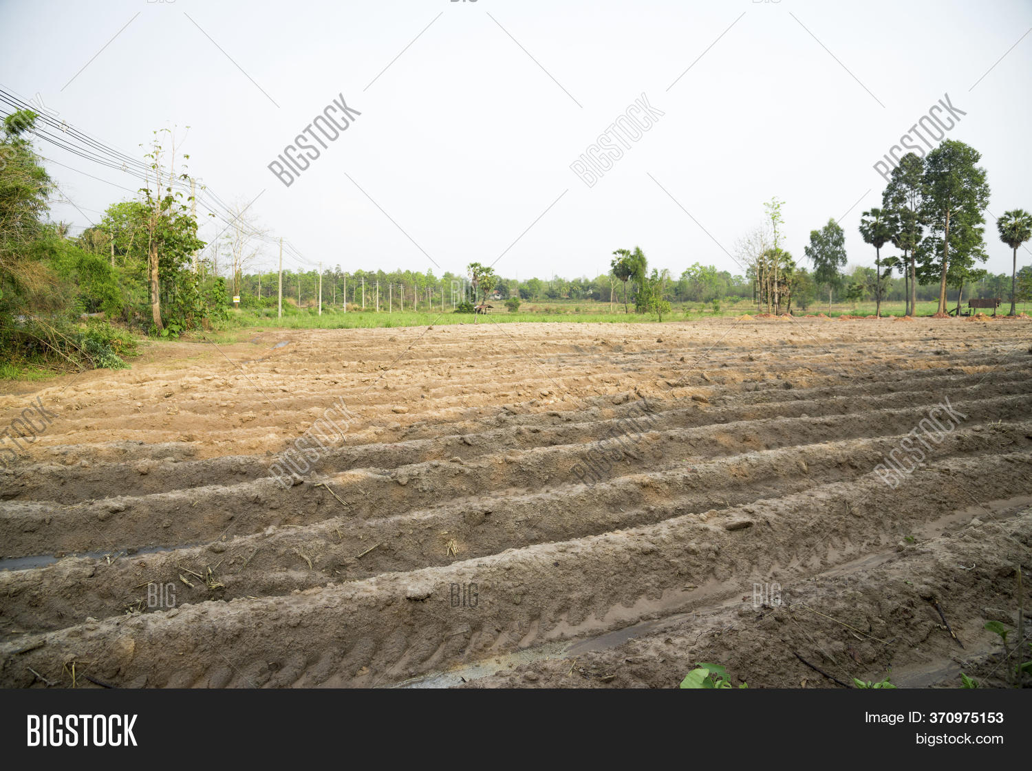Ploughed Land: Land Image & Photo (Free Trial) | Bigstock