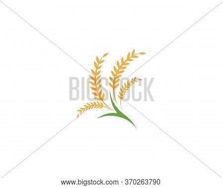 Rice Icon Symbol Vector & Photo (Free Trial) | Bigstock
