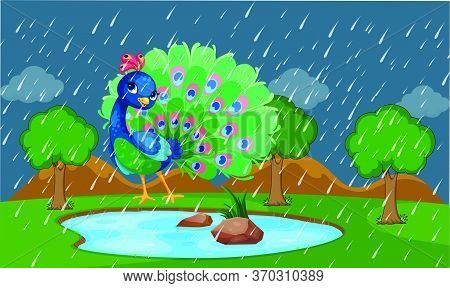 Peacock Dancing Park Vector & Photo (Free Trial) | Bigstock