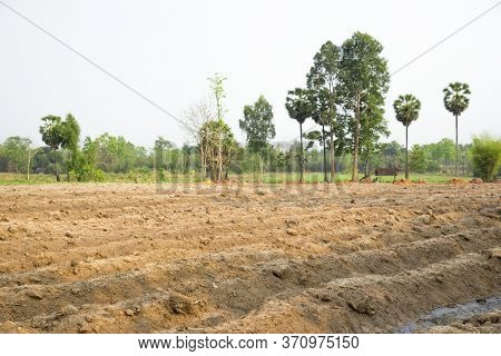 Ploughed Land: Land Image & Photo (Free Trial) | Bigstock