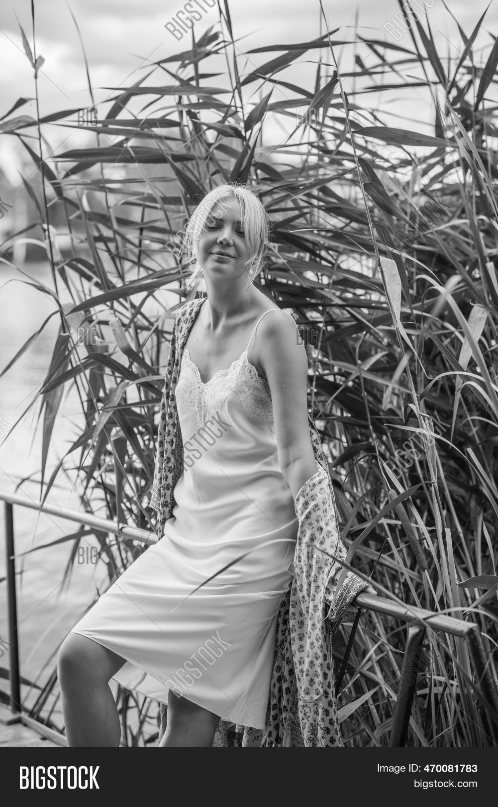 Tender Illustration Image & Photo (Free Trial) | Bigstock