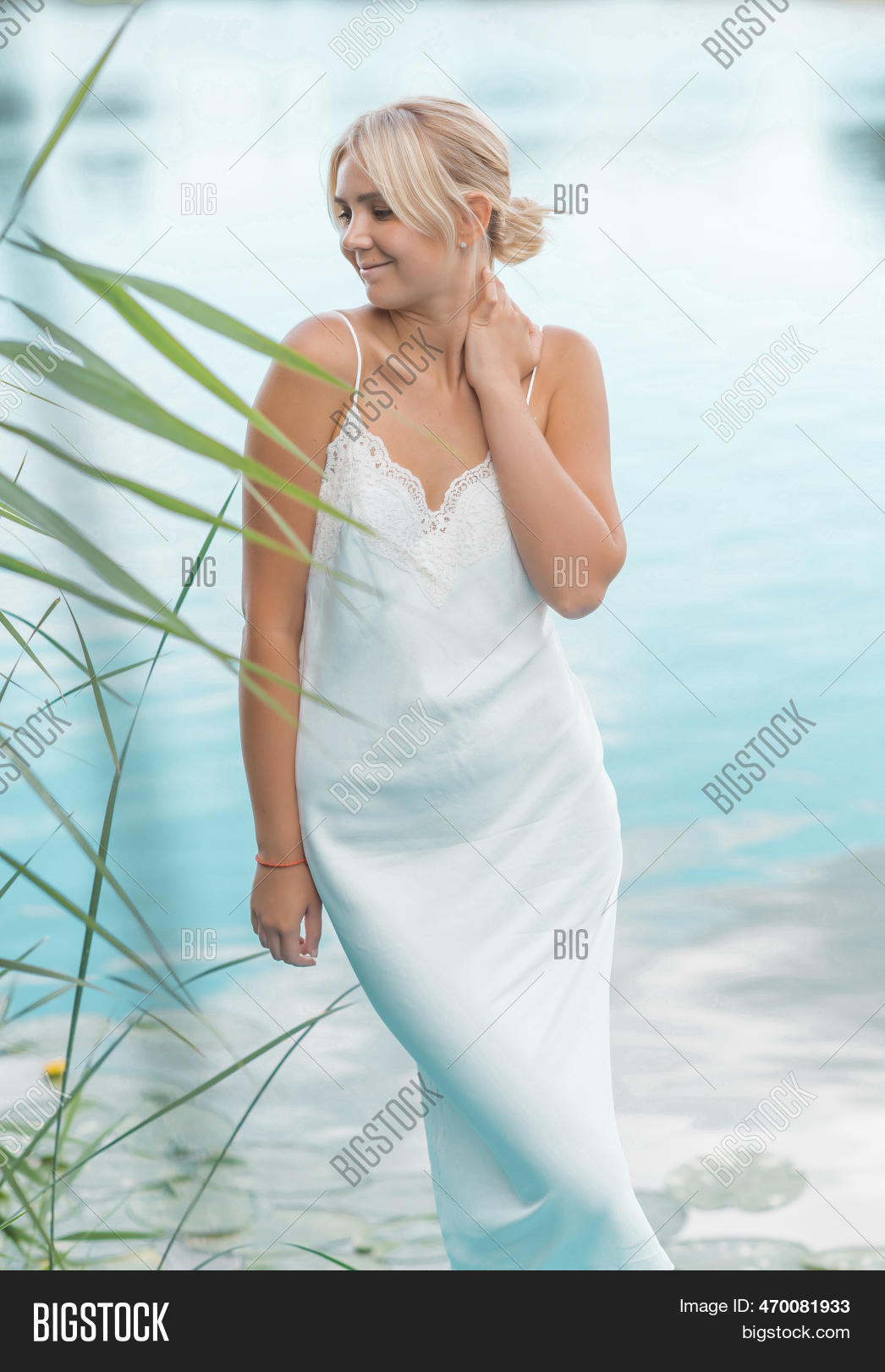 Tender Illustration Image & Photo (Free Trial) | Bigstock
