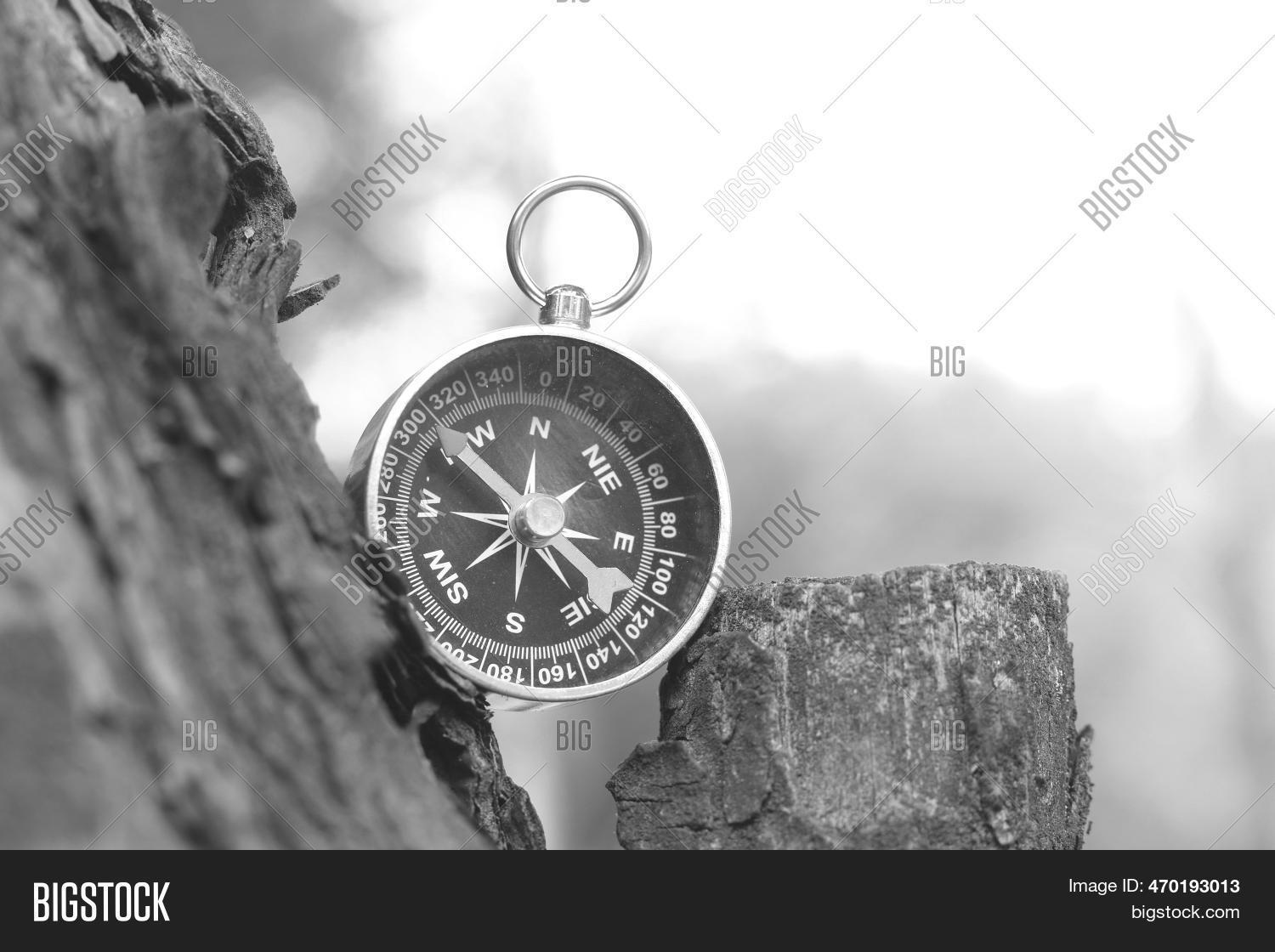 : изображения и фото (бесплатная пробная версия) | Bigstock