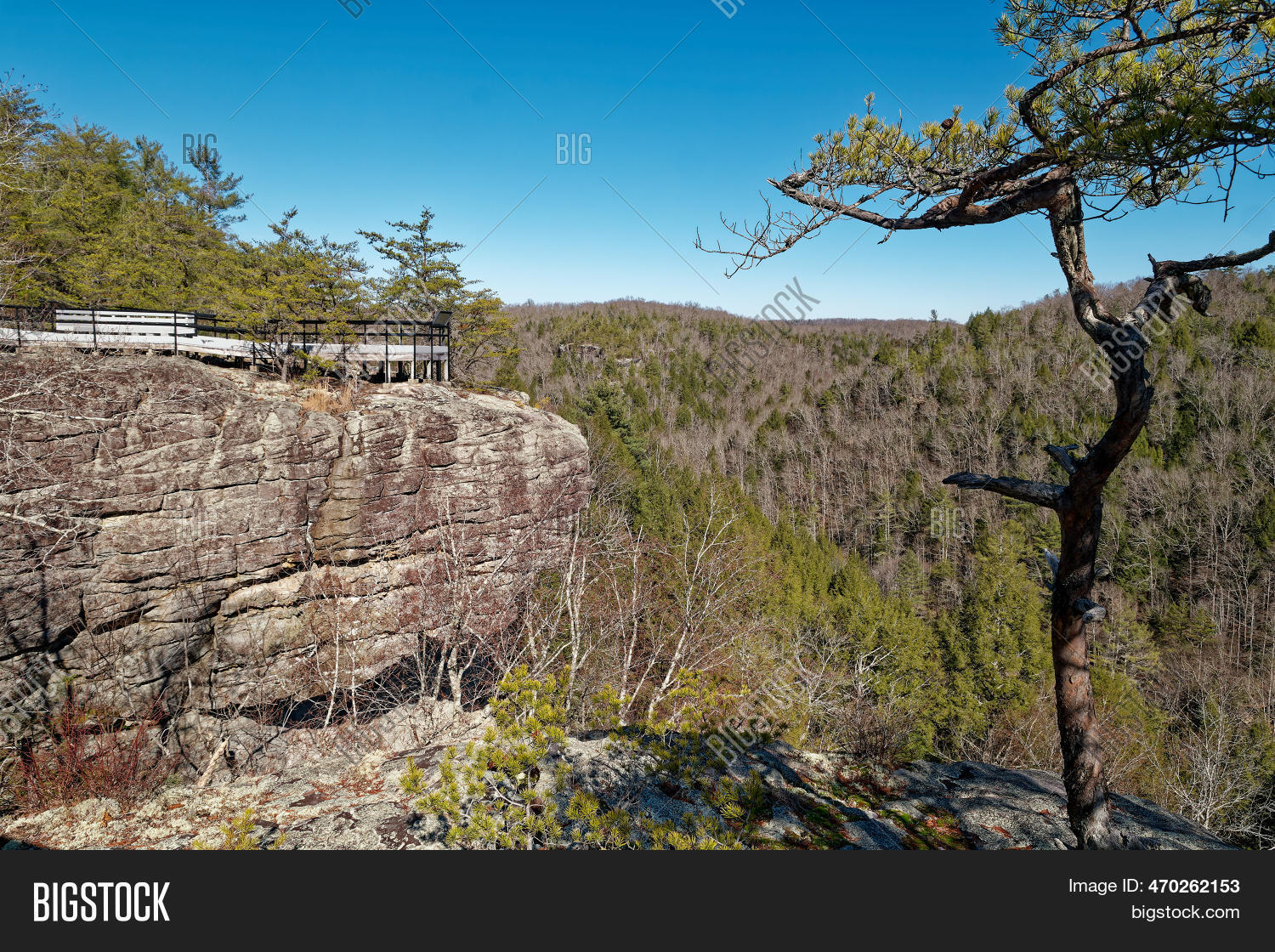 Looking Across Image & Photo (Free Trial) | Bigstock