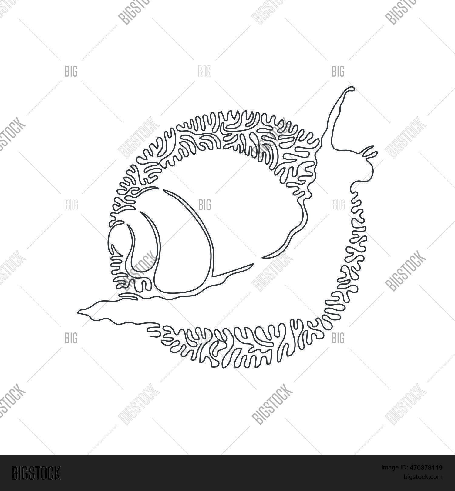 Single One Curly Line Vector & Photo (Free Trial) | Bigstock