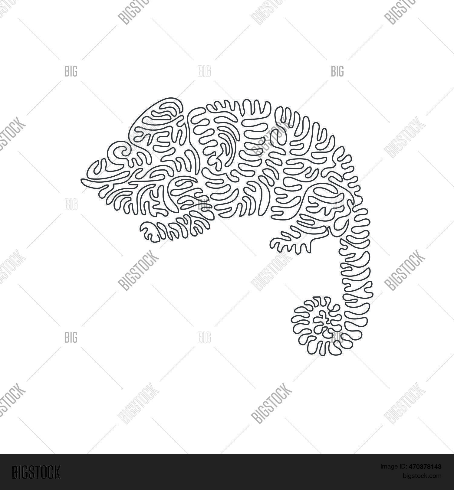 Single Curly One Line Vector & Photo (Free Trial) | Bigstock
