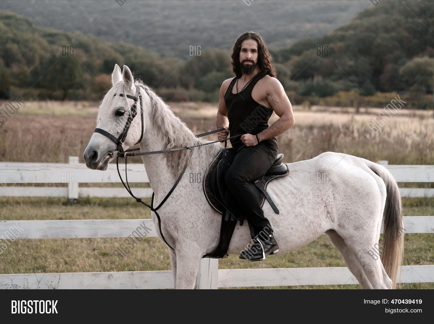 Beautiful Horse Man Image & Photo (Free Trial) | Bigstock