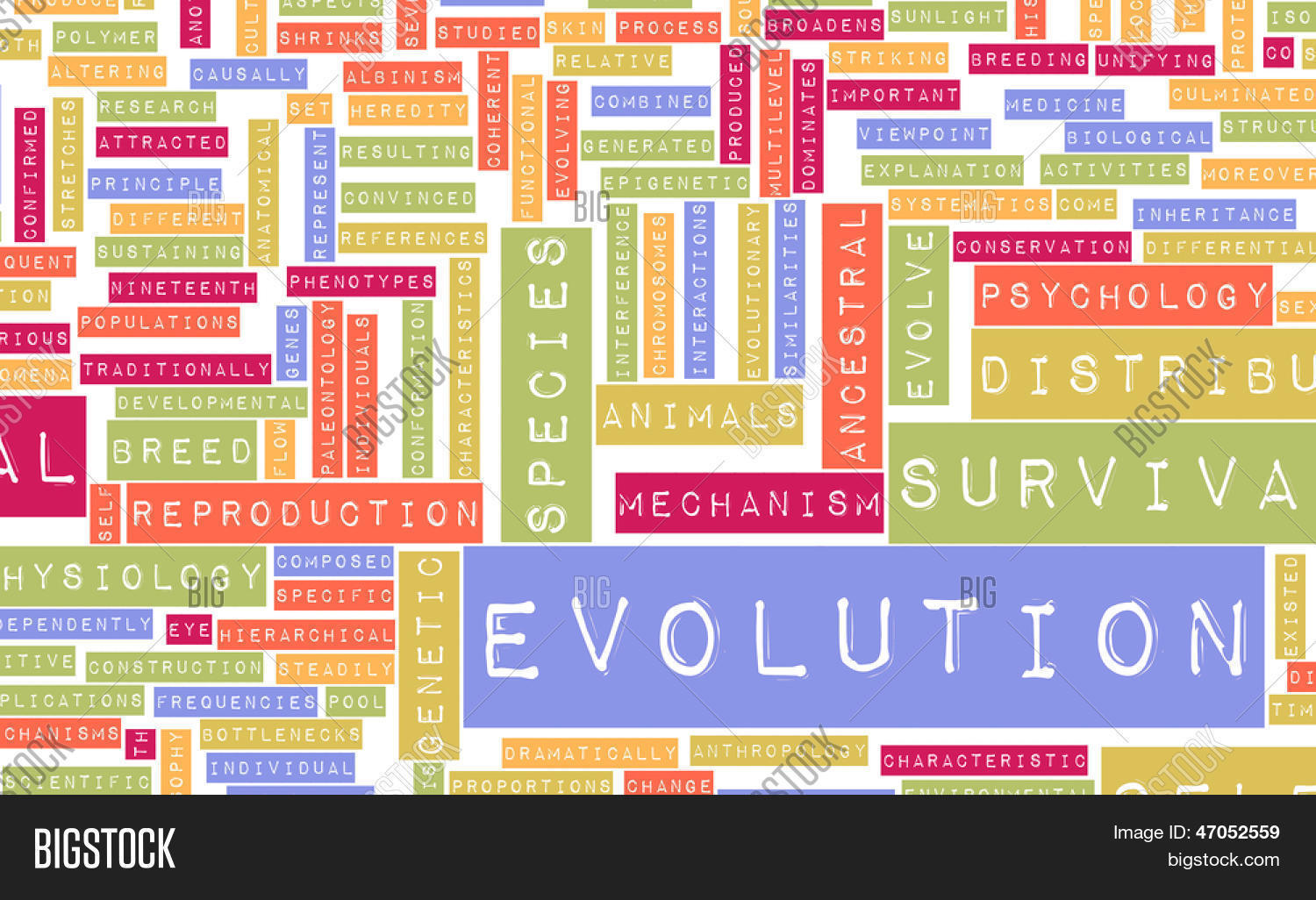 Evolution Progress Man Image & Photo (Free Trial) | Bigstock