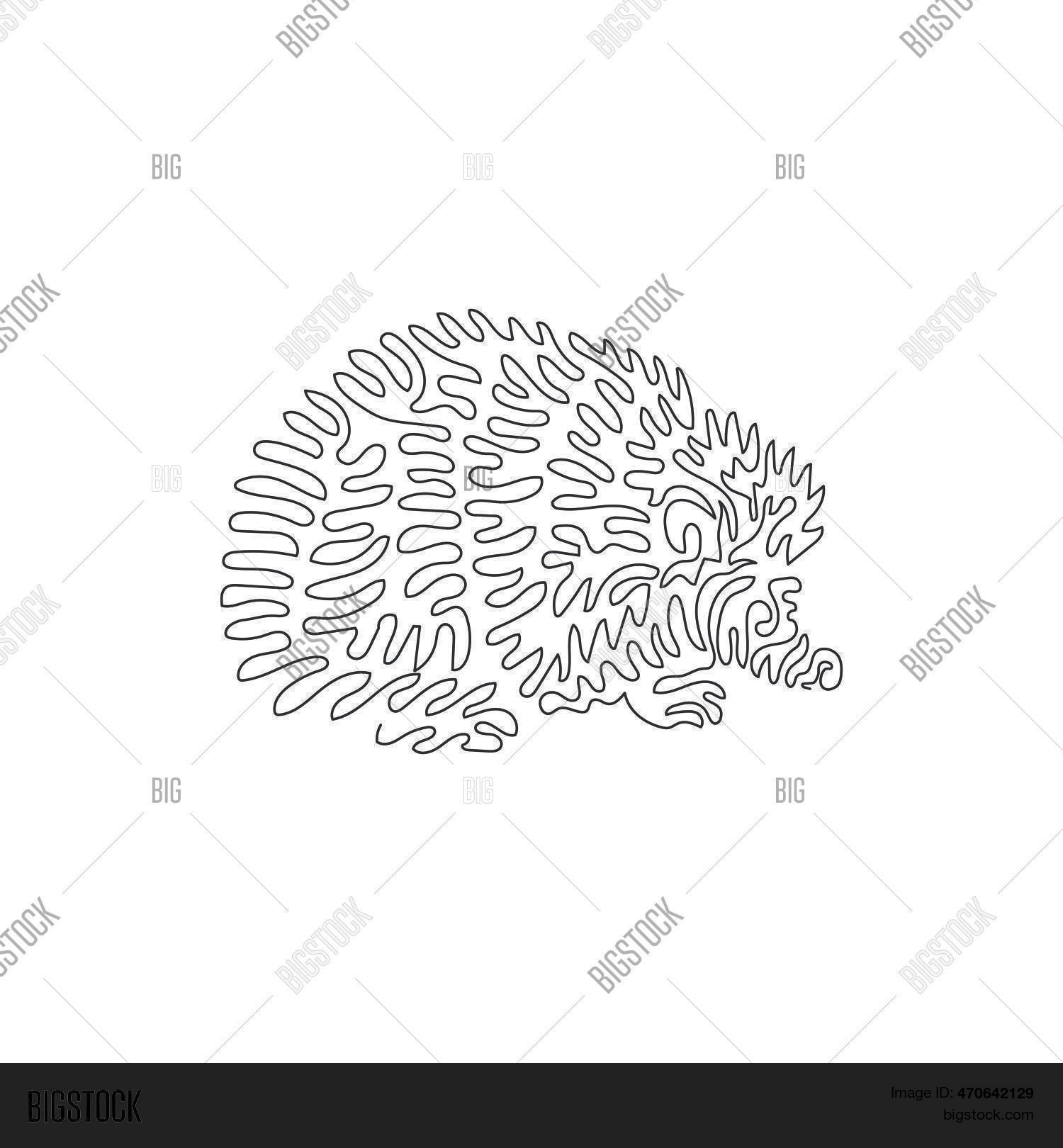 Single Curly One Line Vector & Photo (Free Trial) | Bigstock