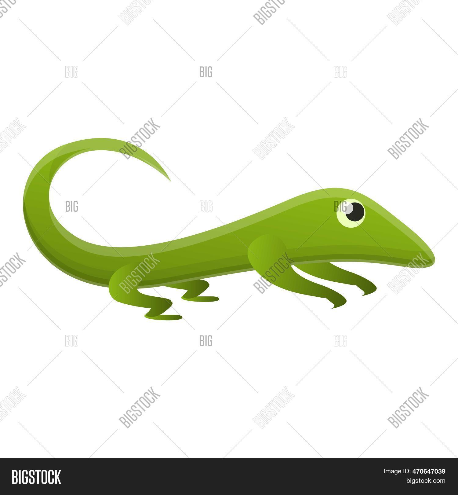 Zoo Lizard Icon. Image & Photo (Free Trial) | Bigstock