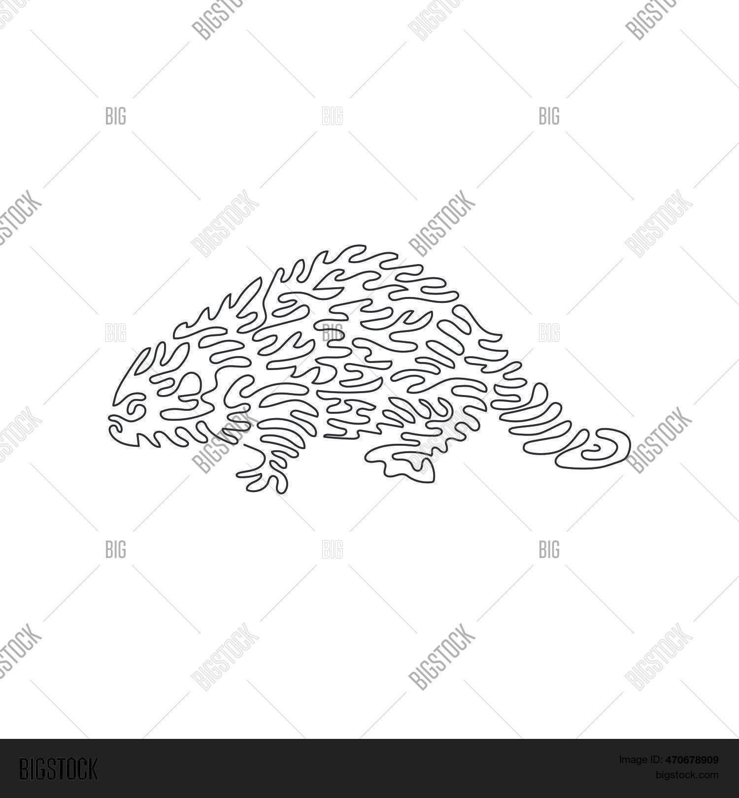 Continuous One Curve Vector & Photo (Free Trial) | Bigstock