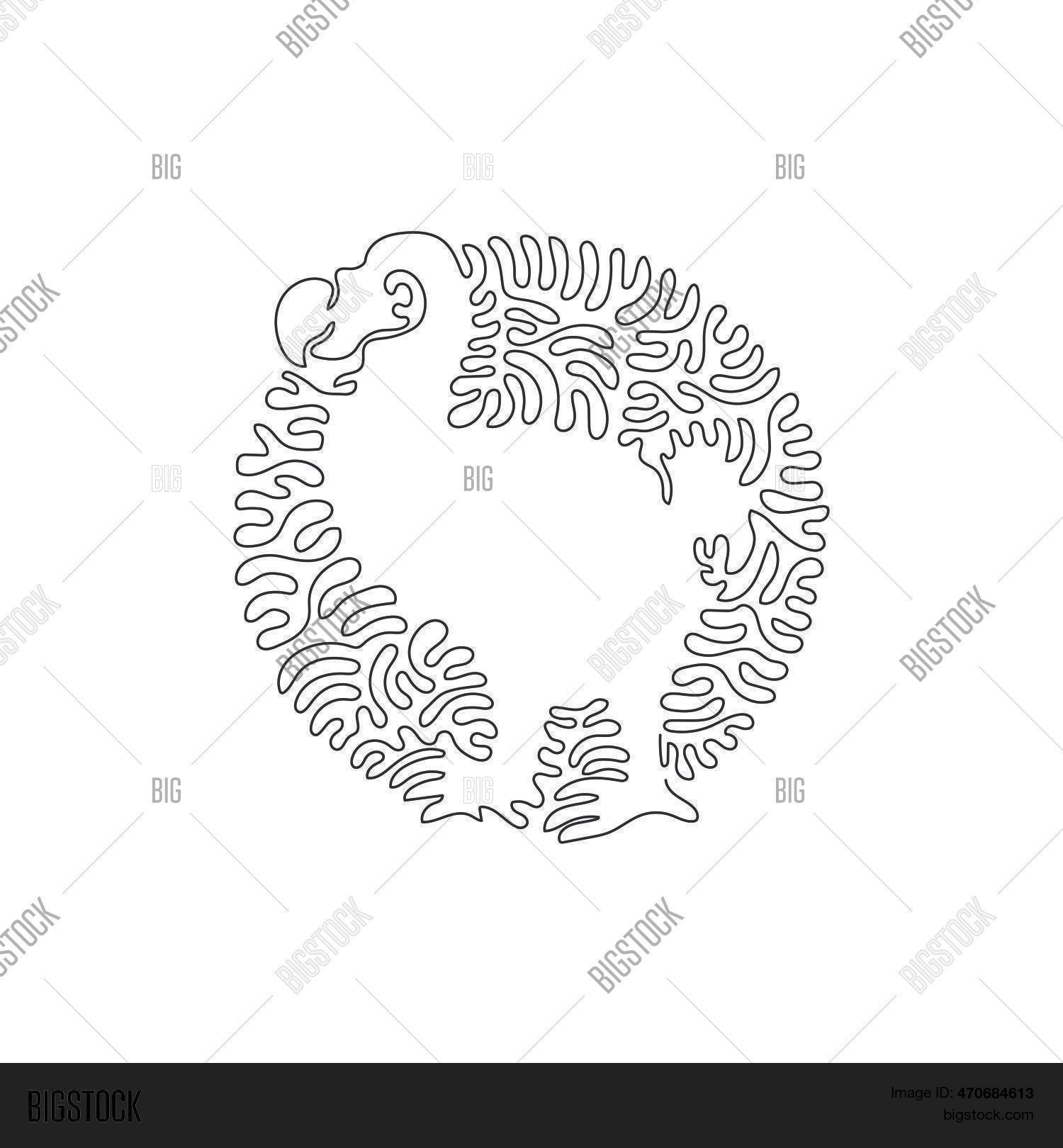 Continuous Curve One Vector & Photo (Free Trial) | Bigstock