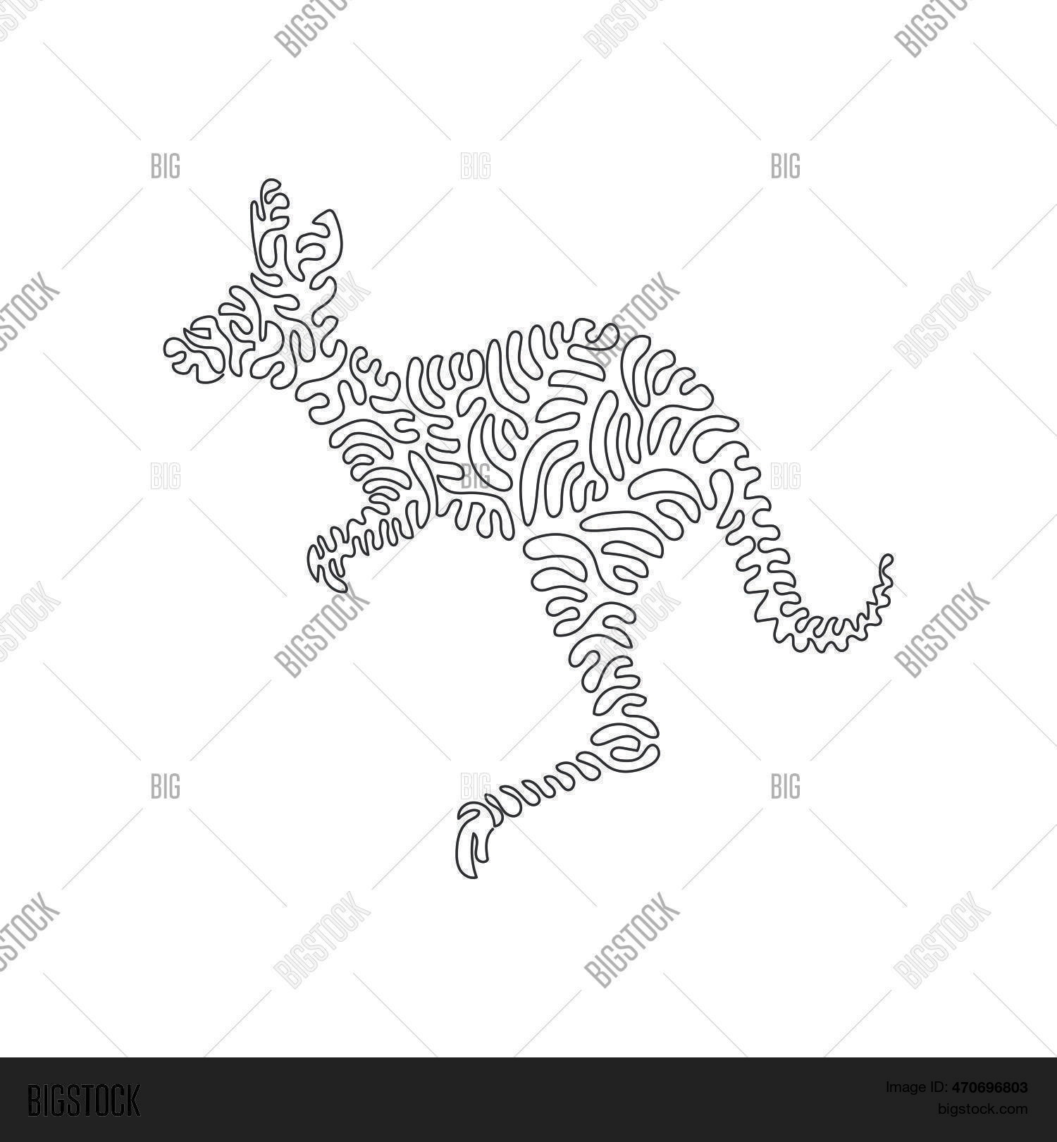 Single Curly One Line Vector & Photo (Free Trial) | Bigstock