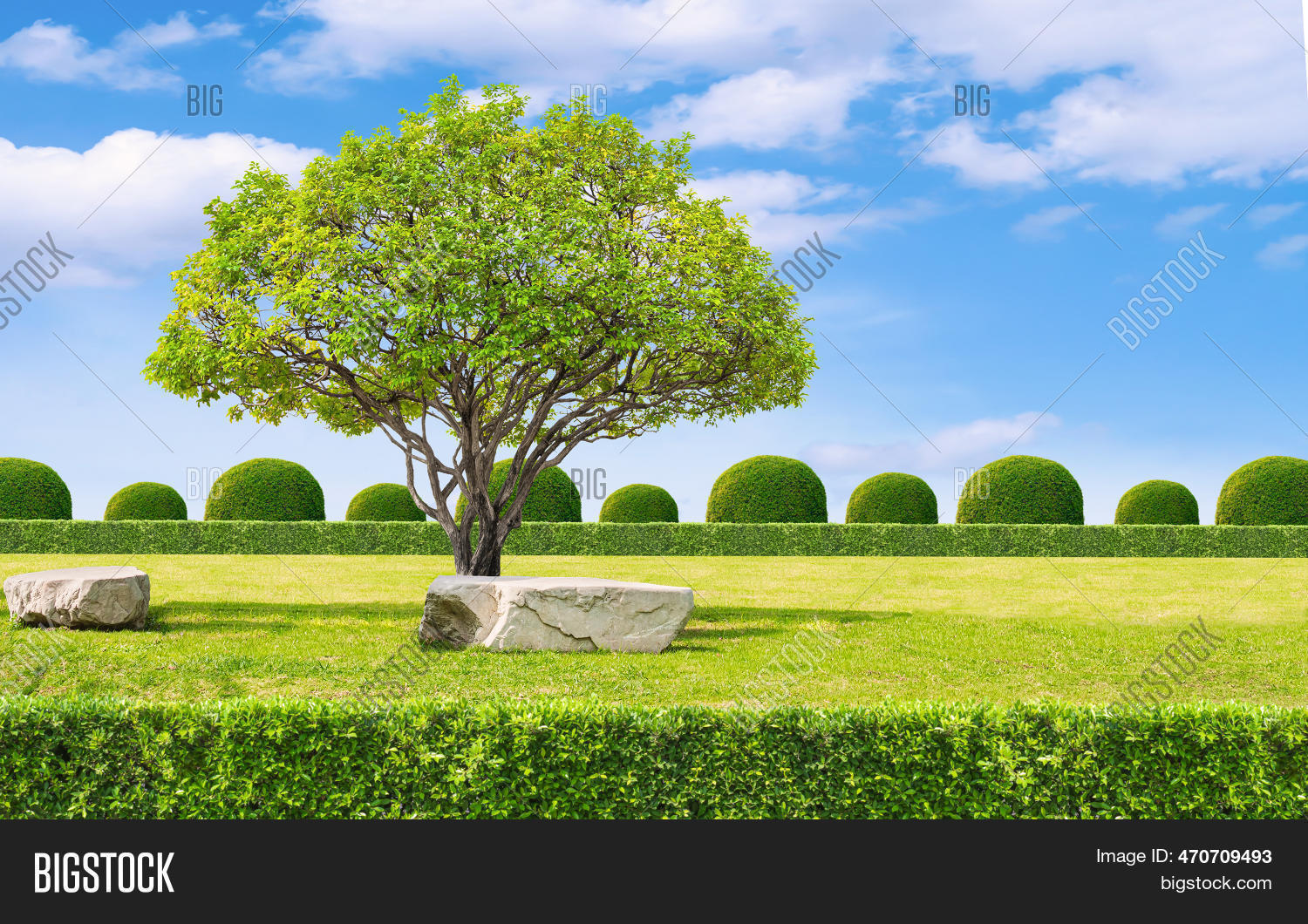 Big Canopy Tree Rock Image & Photo (Free Trial) | Bigstock