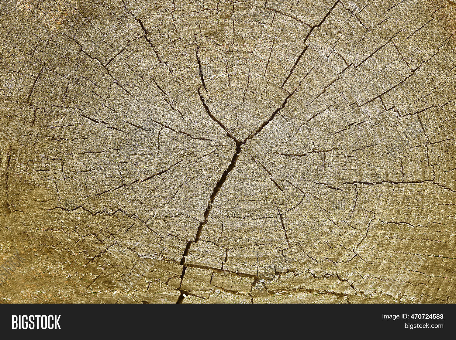 Wood Texture On Wooden Image & Photo (Free Trial) | Bigstock