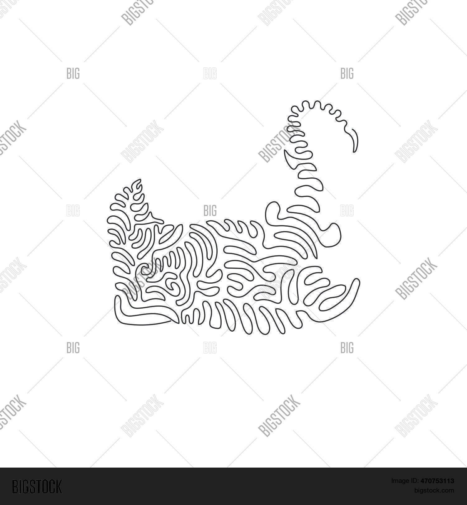 Single Curly Line Vector & Photo (Free Trial) | Bigstock