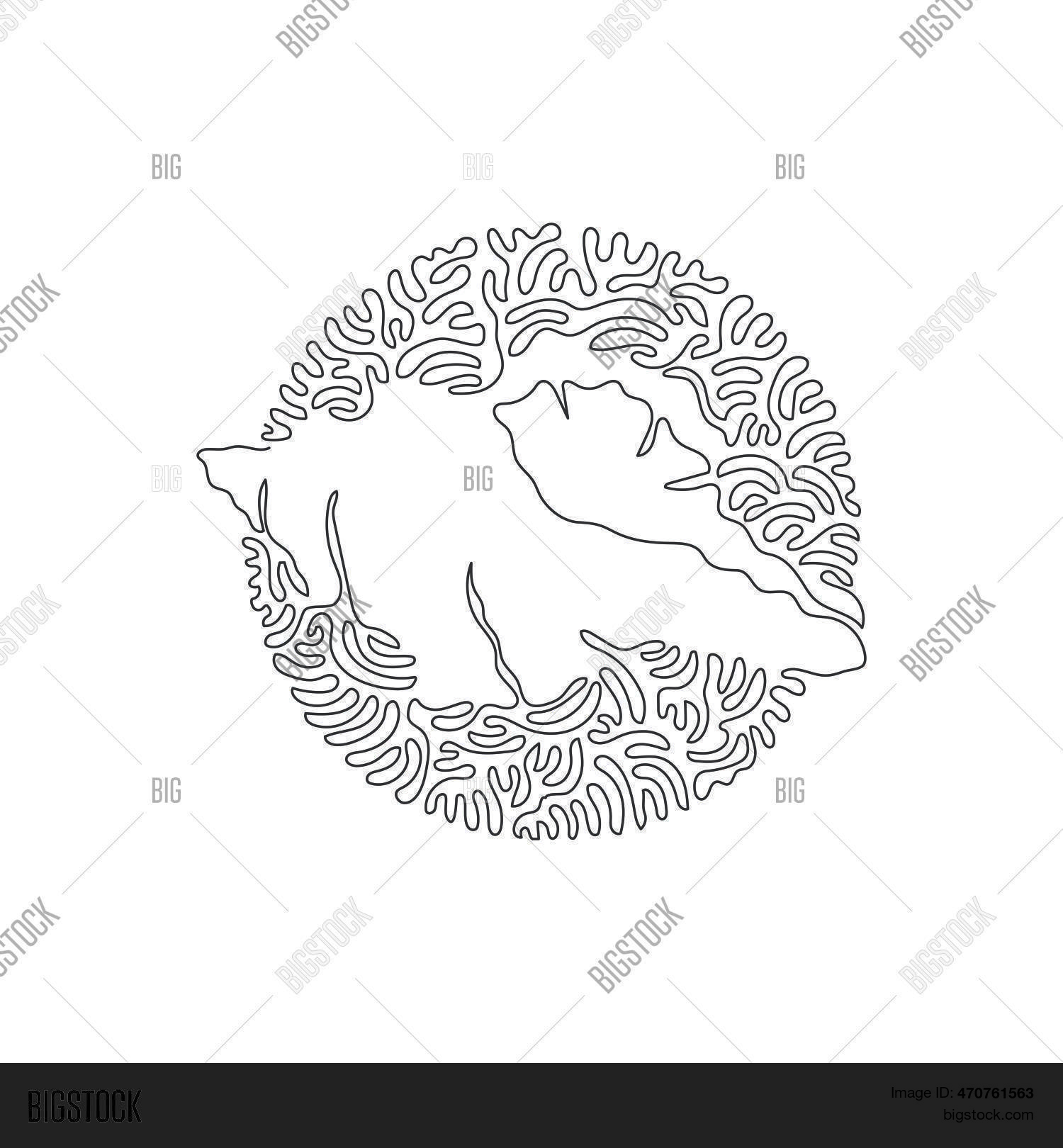 Continuous Curve Line Vector & Photo (Free Trial) | Bigstock