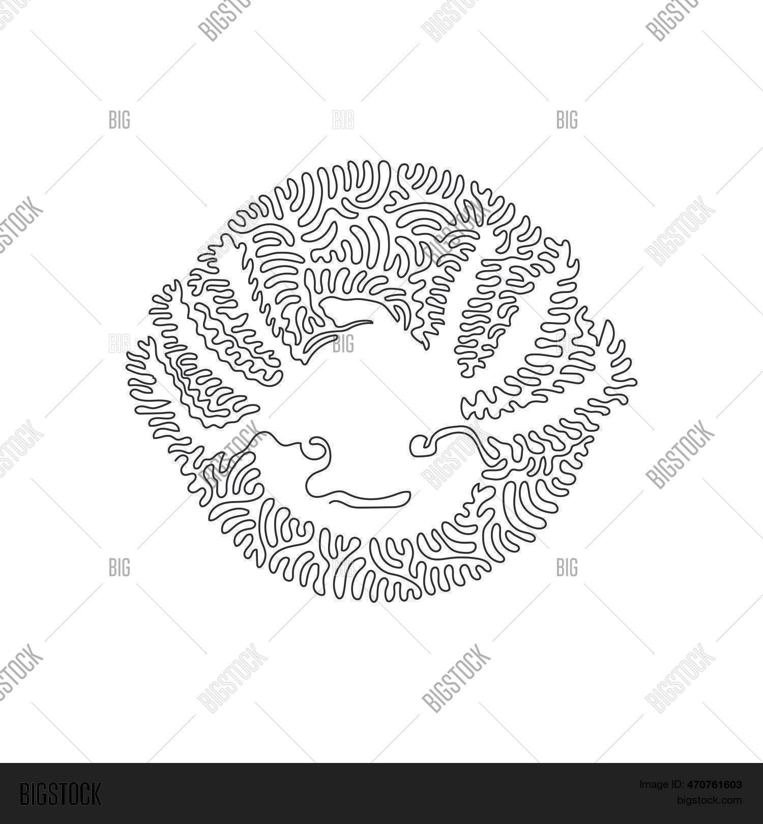 Continuous Curve Line Vector & Photo (Free Trial) | Bigstock