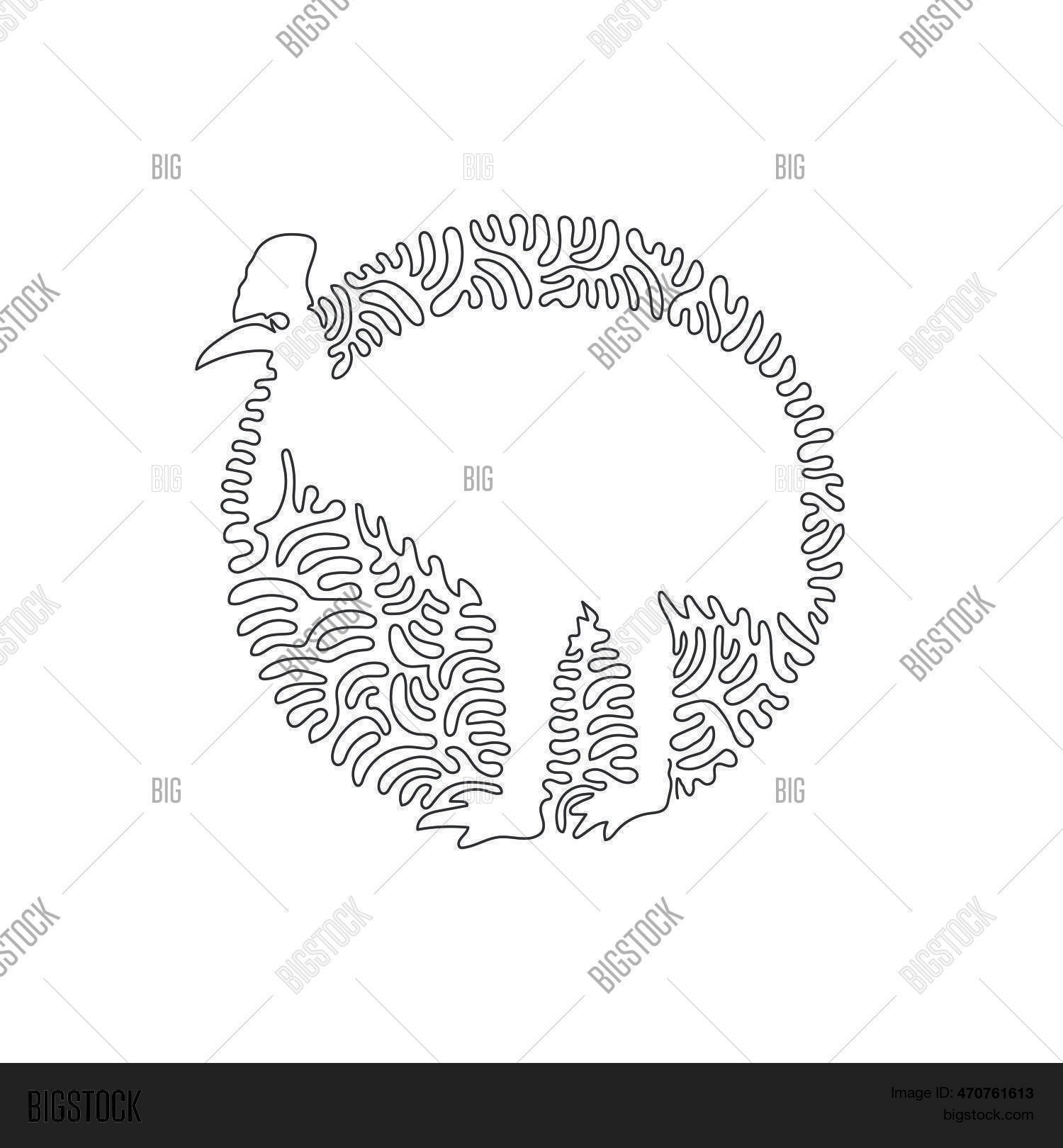 Single Curly Line Vector & Photo (Free Trial) | Bigstock