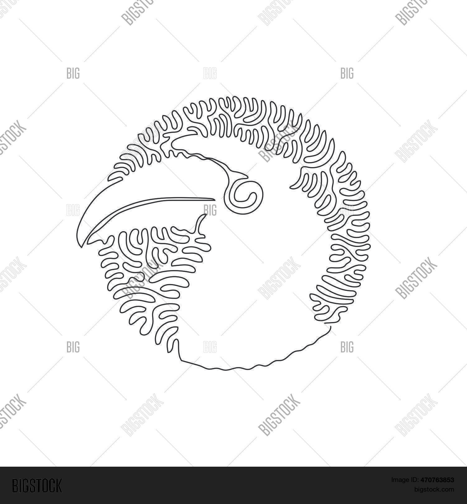 Single Curly Line Vector & Photo (Free Trial) | Bigstock