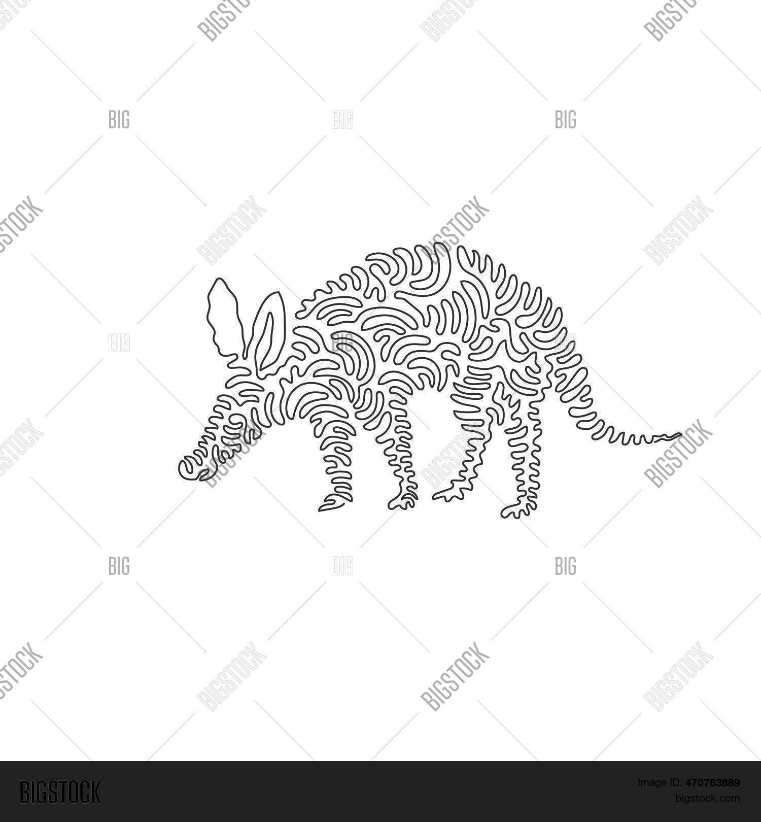 Single One Curly Line Vector And Photo Free Trial Bigstock