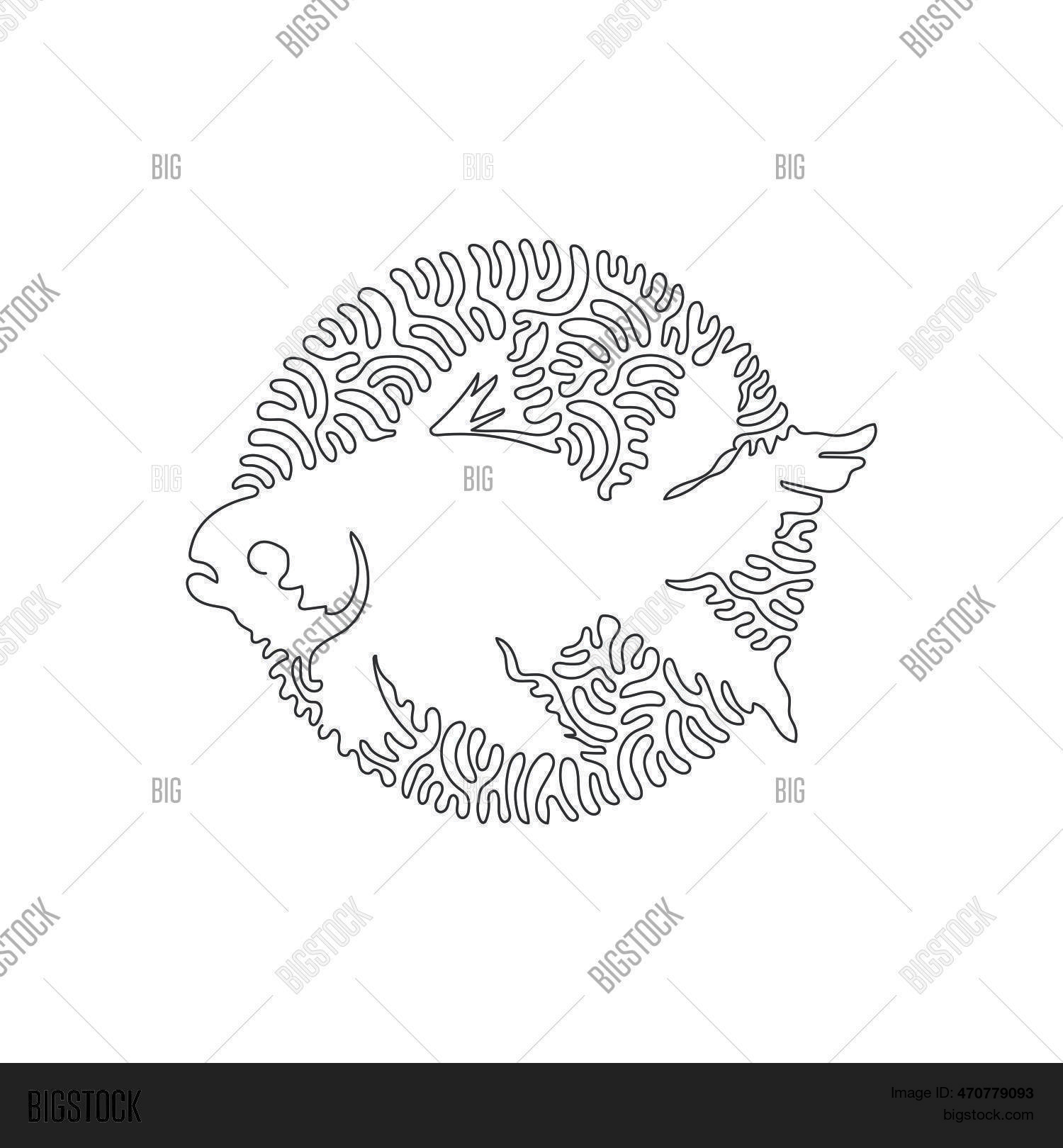 Single Swirl Vector & Photo (Free Trial) | Bigstock