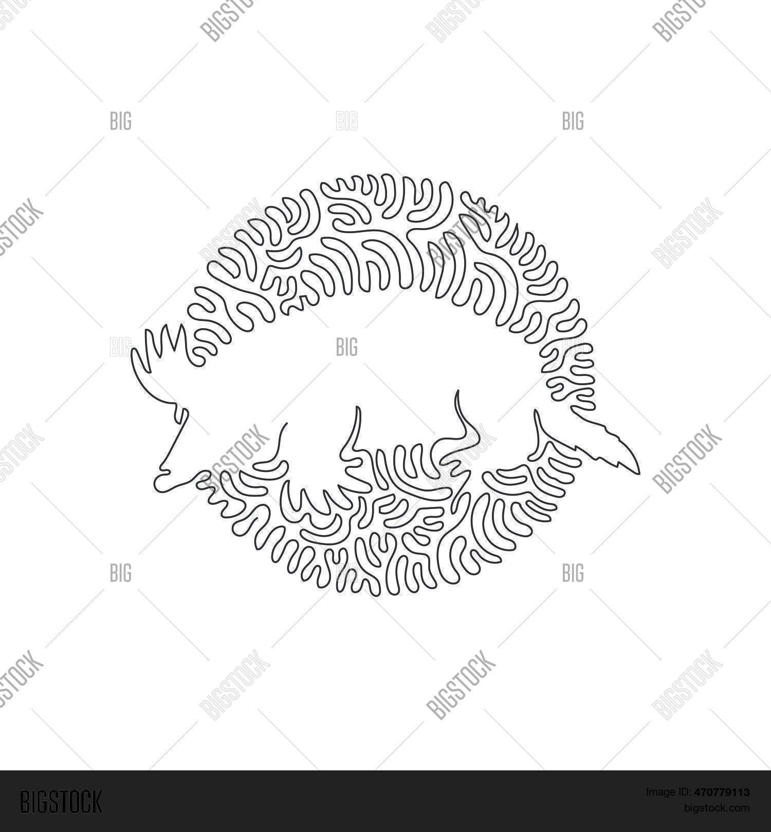 Continuous Curve Line Vector & Photo (Free Trial) | Bigstock