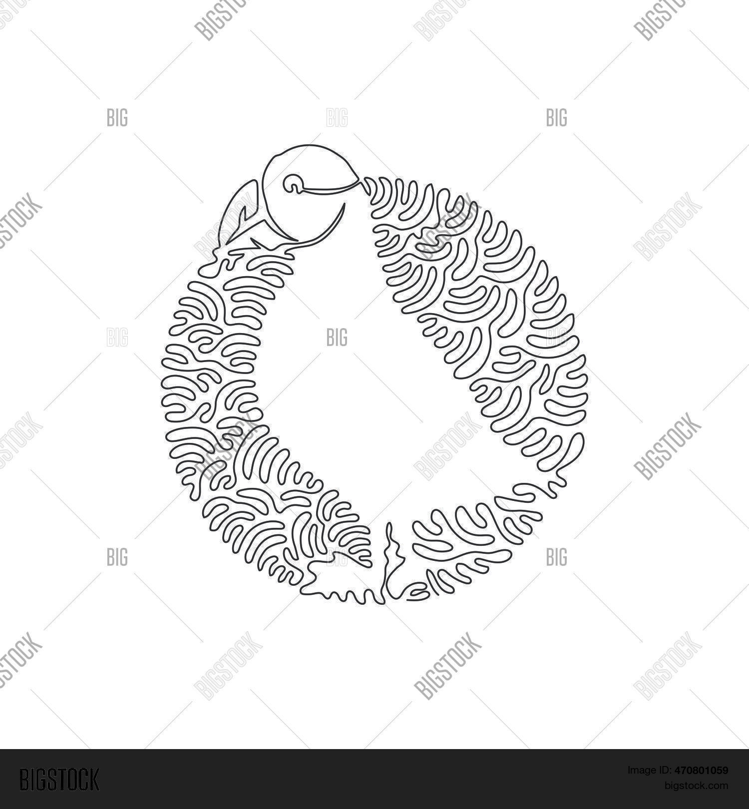 Continuous Curve Line Vector & Photo (Free Trial) | Bigstock
