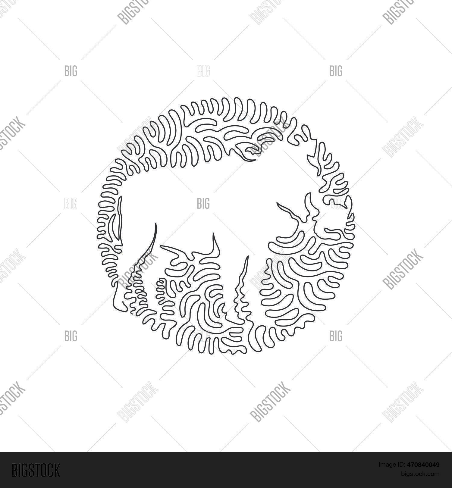 Single Curly One Line Vector & Photo (Free Trial) | Bigstock