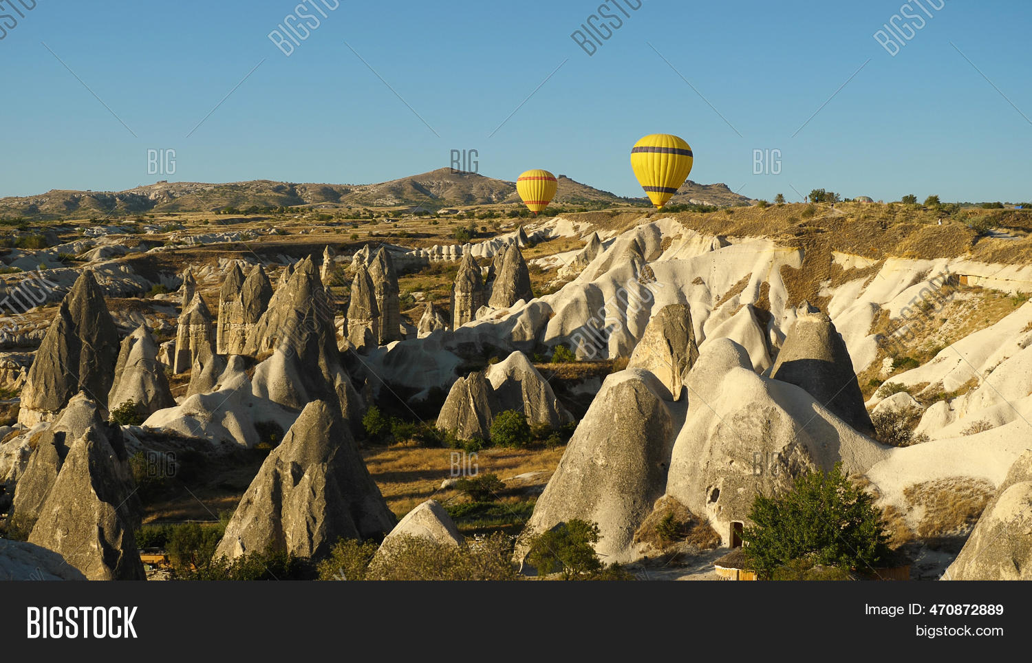 Two Yellow Balloons Image & Photo (Free Trial) | Bigstock