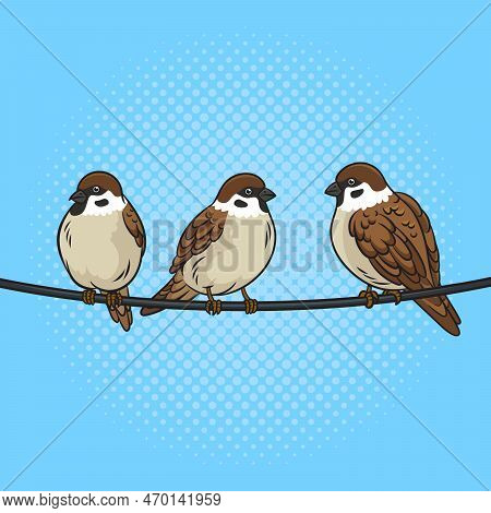 Sparrows Birds Image & Photo (Free Trial) | Bigstock
