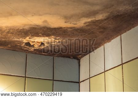 Mold On Wall Mess Image & Photo (Free Trial) | Bigstock