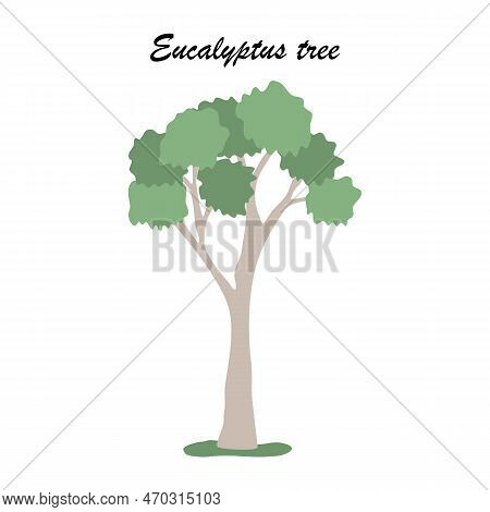 One Eucalyptus Tree Vector & Photo (Free Trial) | Bigstock
