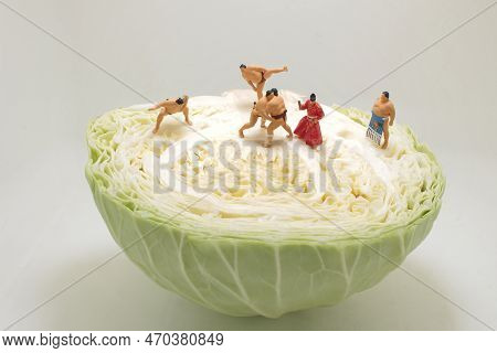 Mini Figure Sumo Image & Photo (Free Trial) | Bigstock