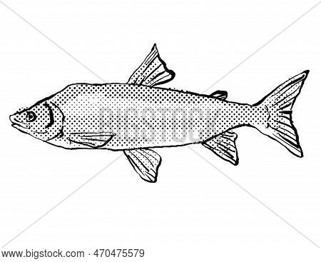 Cartoon Style Line Image & Photo (Free Trial) | Bigstock